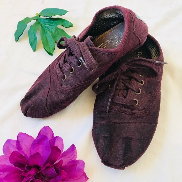 Toms | Shoes | The Og Classic Toms Lace Up Sneaker Type Shoes | Poshmark
